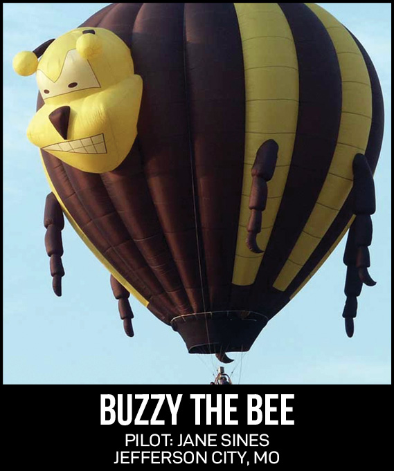 Balloonist – All Ohio Balloon Festival Inc. LLC